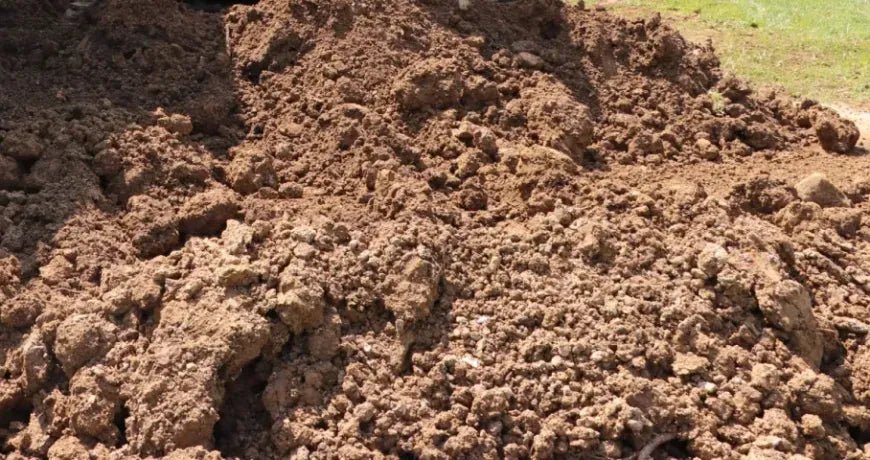 Clay Soil in Dubai — Greensouq