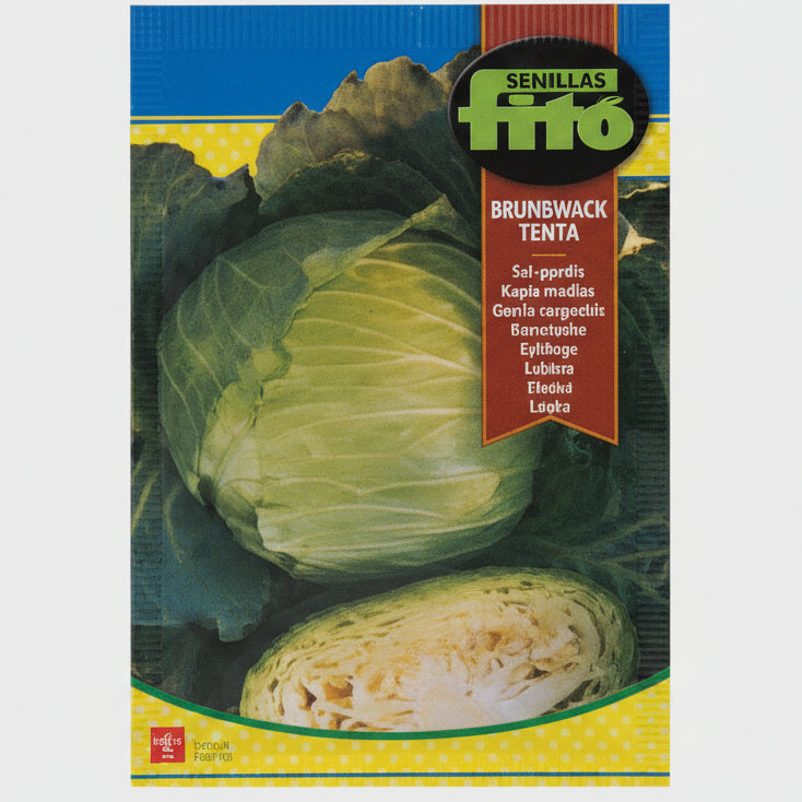 Col Repollo Brunswick-Tenta - Fito Seeds — Greensouq