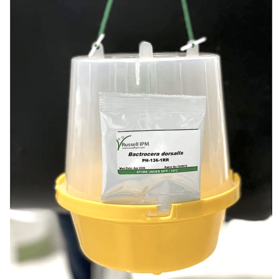 Fruit Fly Trap with Pheromone "Russell-IPM" — Greensouq