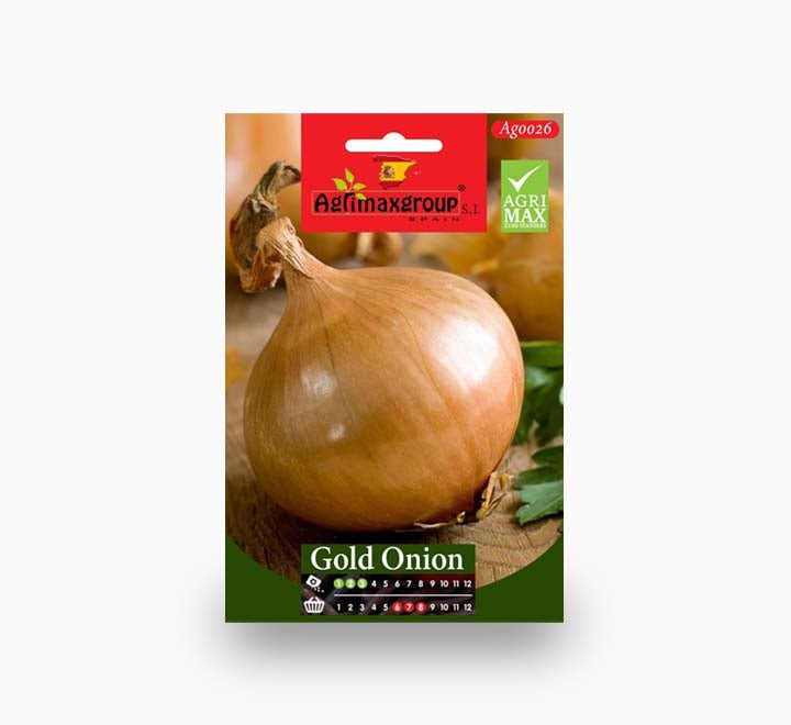 Gold Onion | UAE Home Gardening! — Greensouq