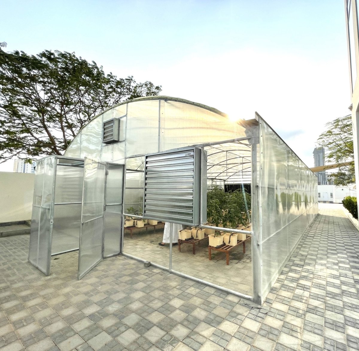 GreenHouse Construction for Organic or Hydroponic Crops — Greensouq