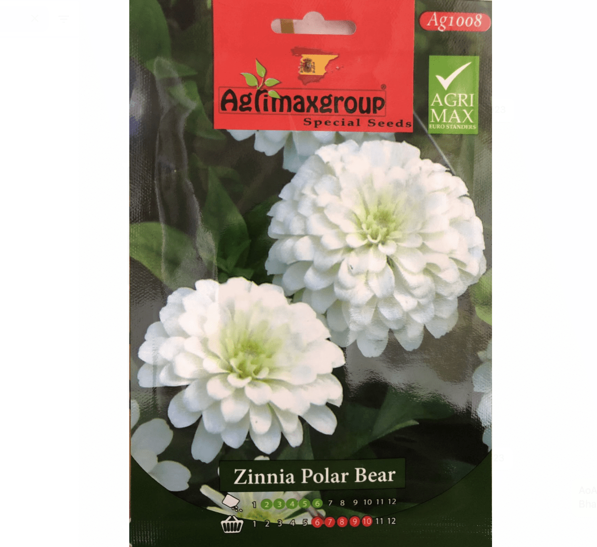 Zinnia Polar Bear Flower Seeds by Agrimax Spain — Greensouq